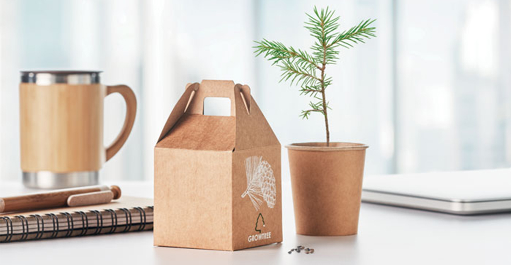 Aiuta il pianeta piantando un gadget eco! - Gadget365 Blog